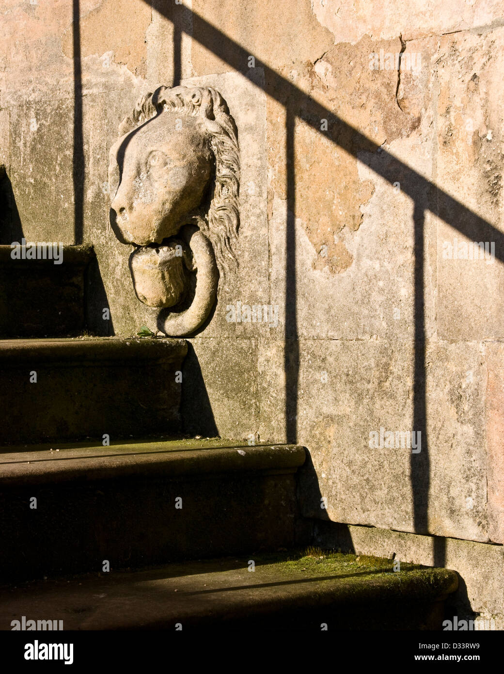 Stone lion head carving Elizabethan Wollaton Hall Nottingham ...