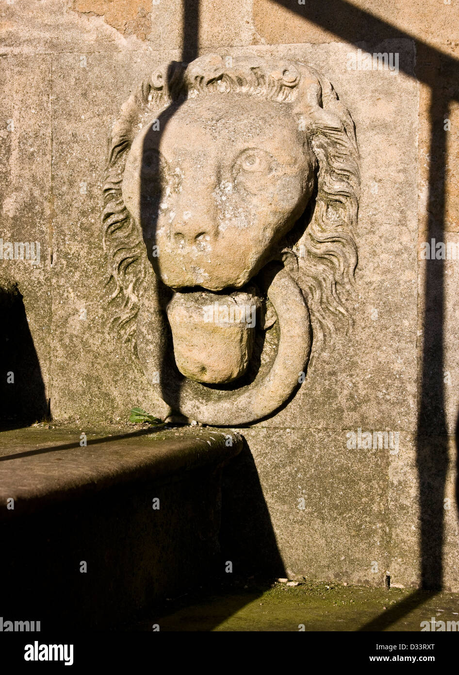 Stone lion head carving Elizabethan Wollaton Hall Nottingham ...