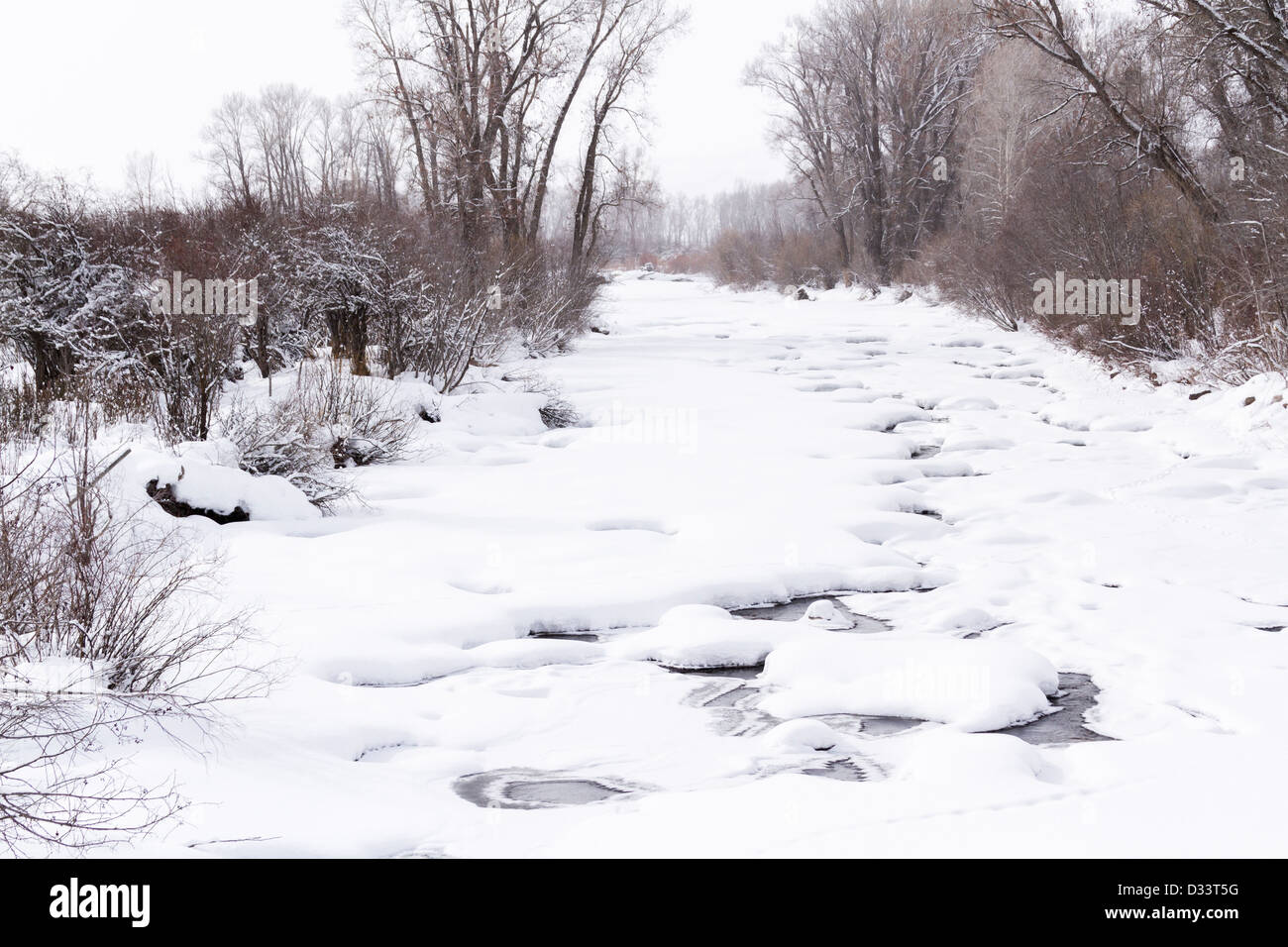 Frozen river in the middle of the winter Stock Photo - Alamy