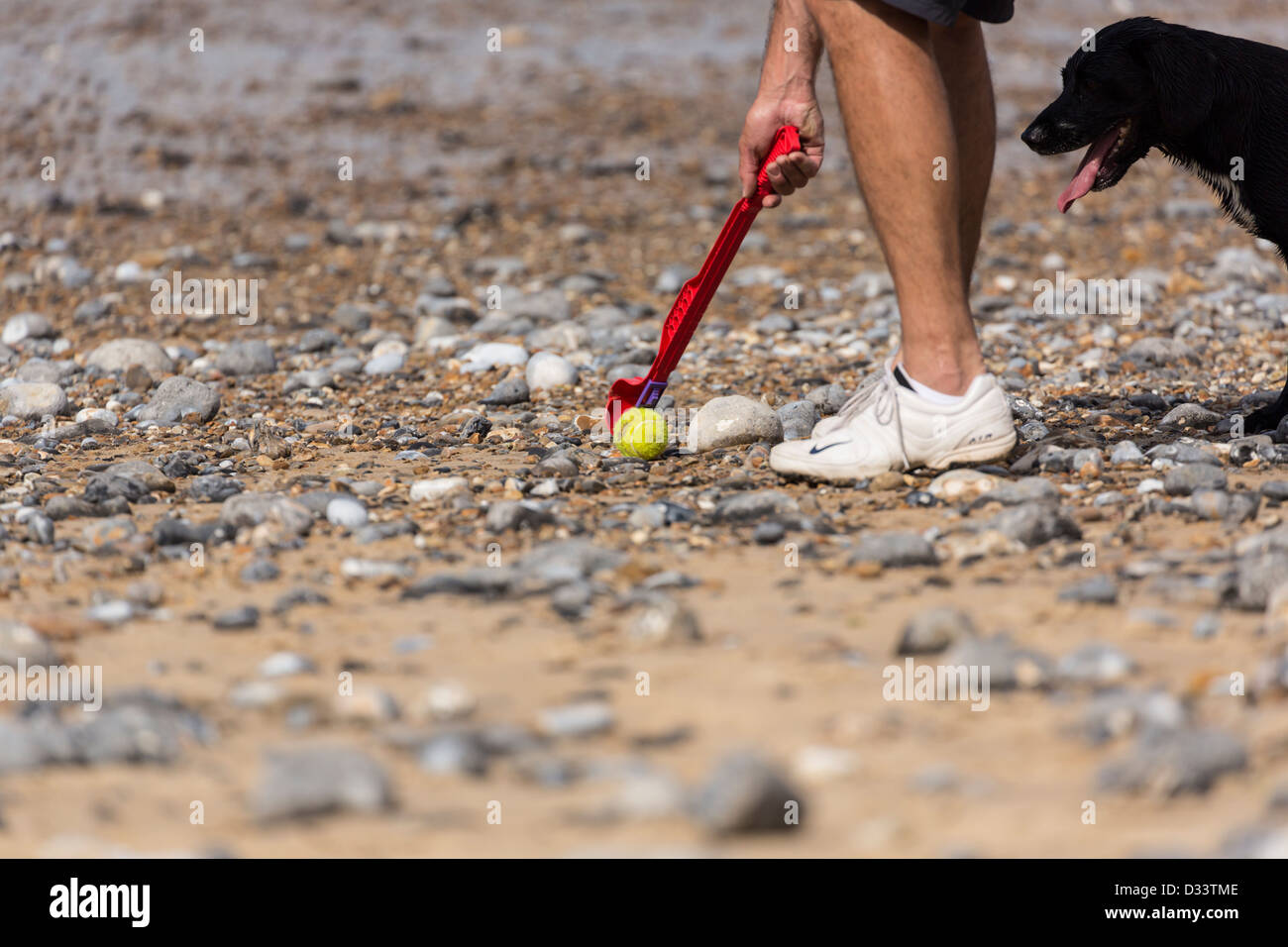 Dog catcher hi-res stock photography and images - Alamy