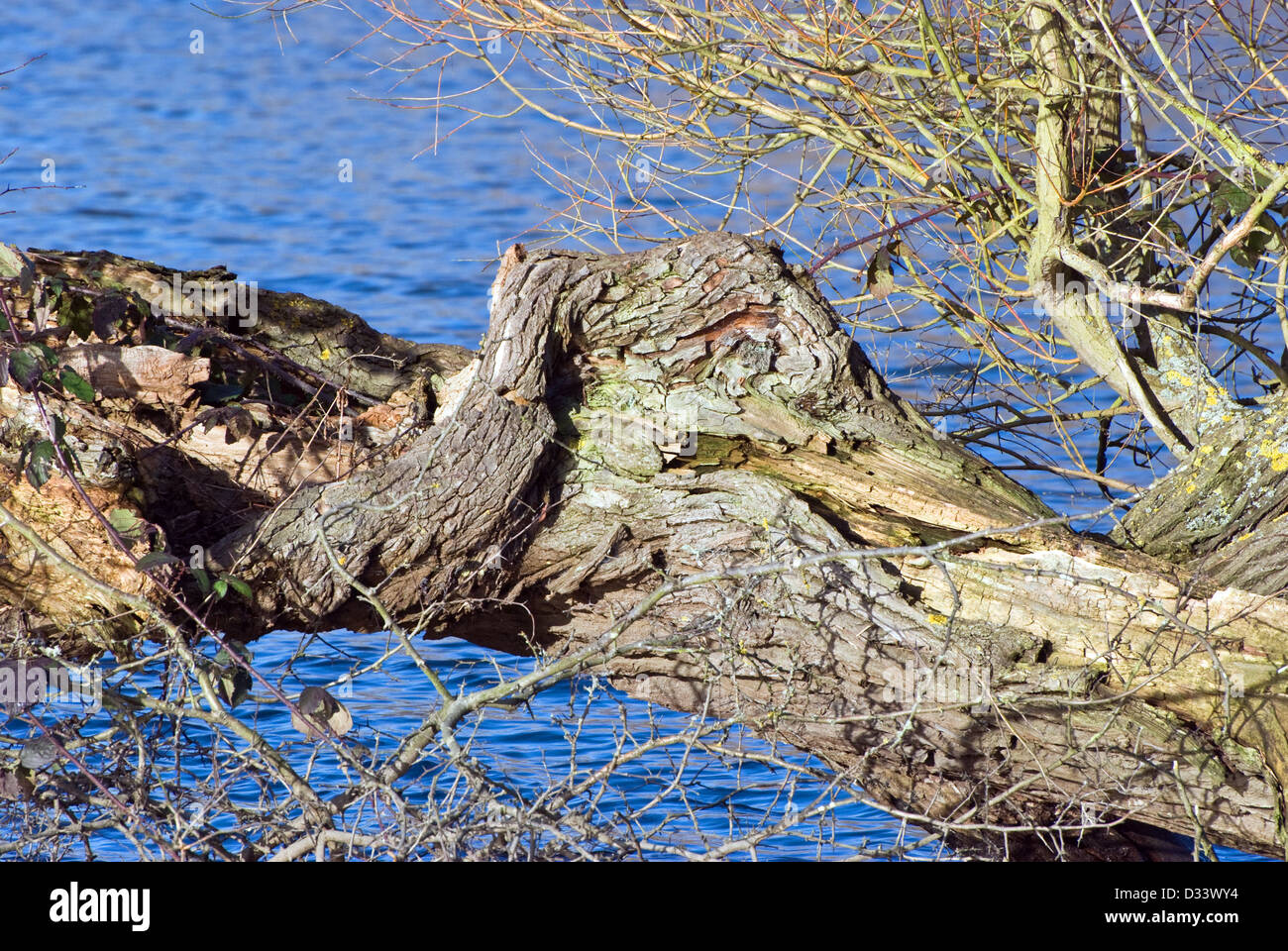 log and water Stock Photo - Alamy