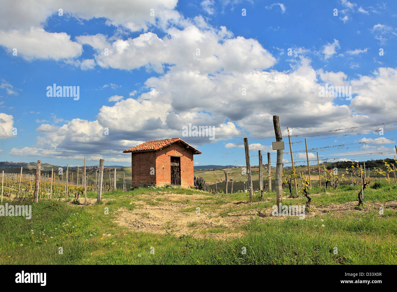 Small rural brick farmhouse among green vineyards under beautiful blue ...