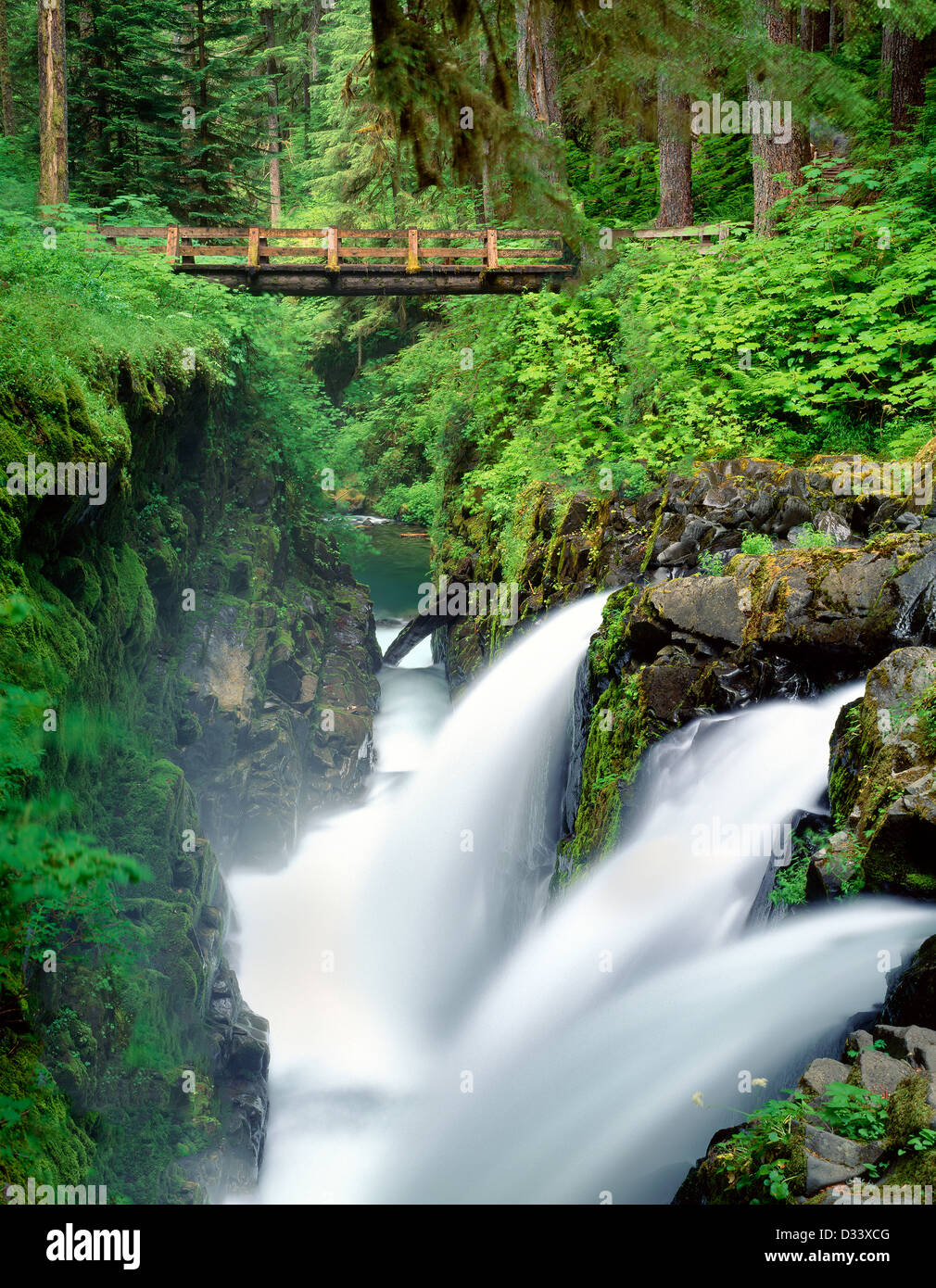 Sol Duc Falls, Olympic National Park. Washington Stock Photo - Alamy