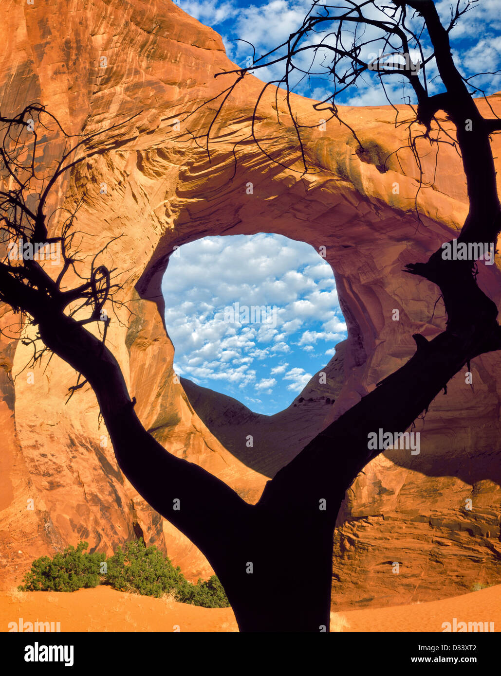 End of the Wind Arch. with dead silhouetted tree. Monument Valley ...