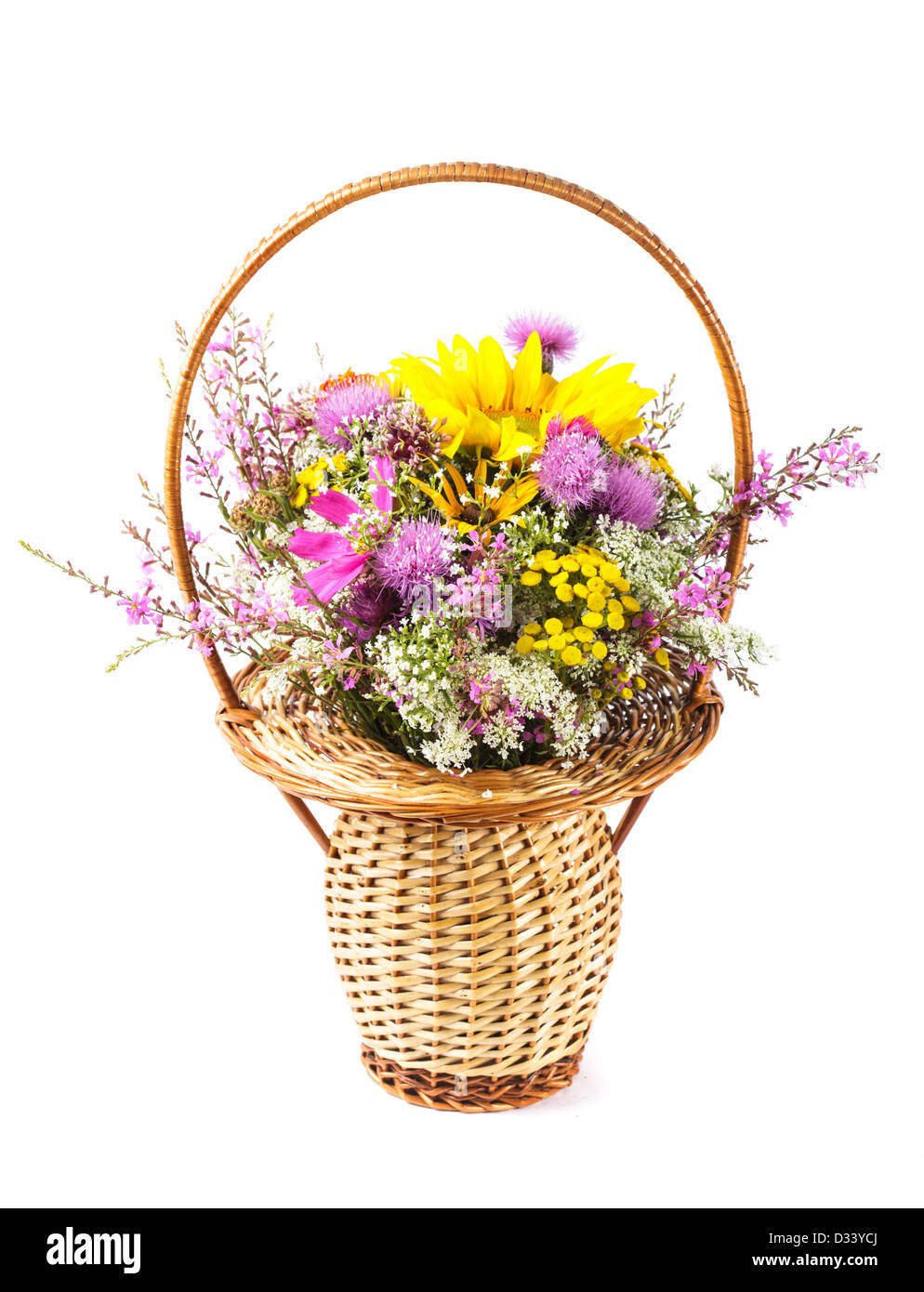 Frame yellow dandelion flowers Cut Out Stock Images & Pictures - Alamy