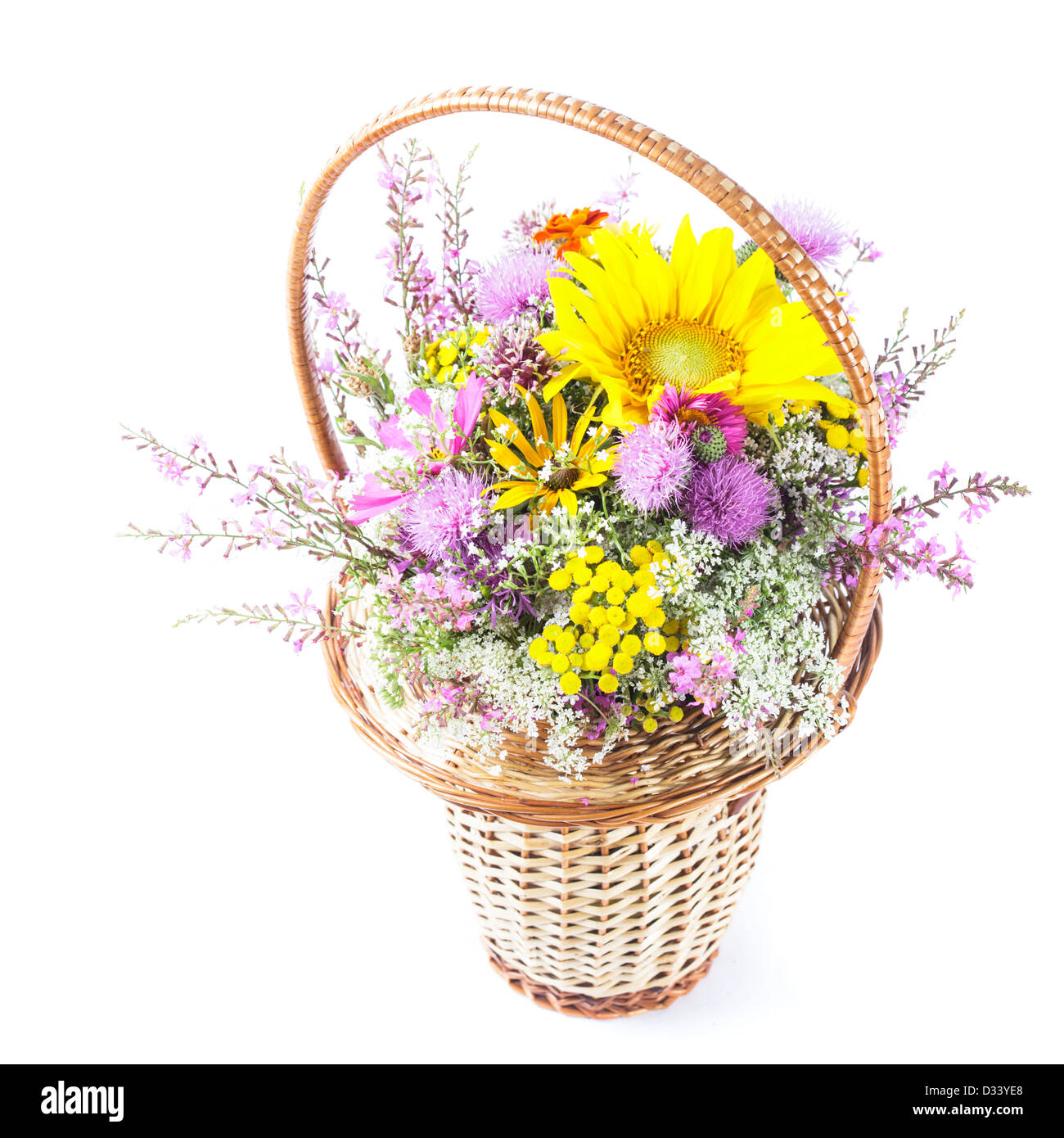 Frame yellow dandelion flowers Cut Out Stock Images & Pictures - Alamy