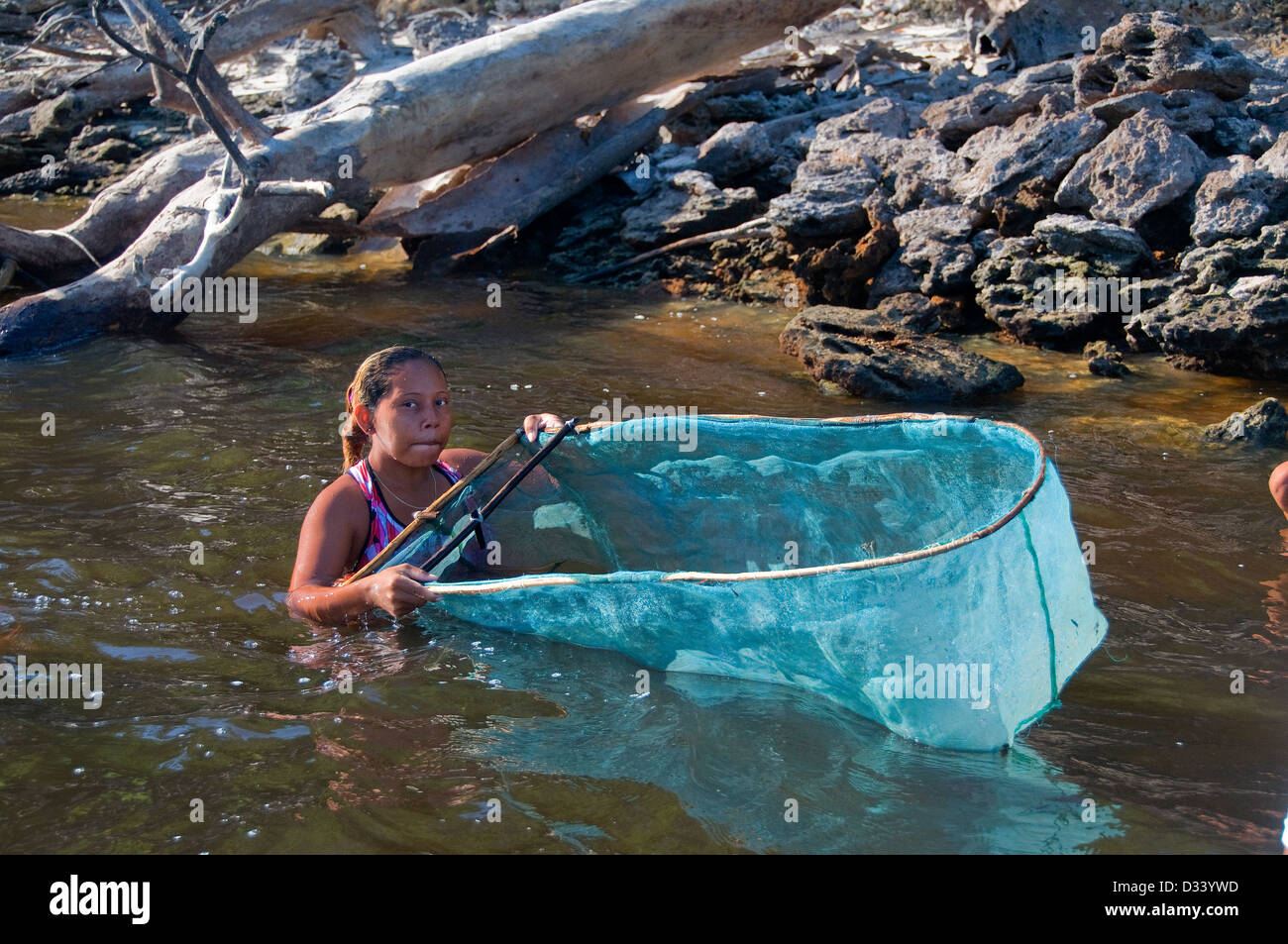 The river people near Barcelos catch tropical aquarium fish along ...