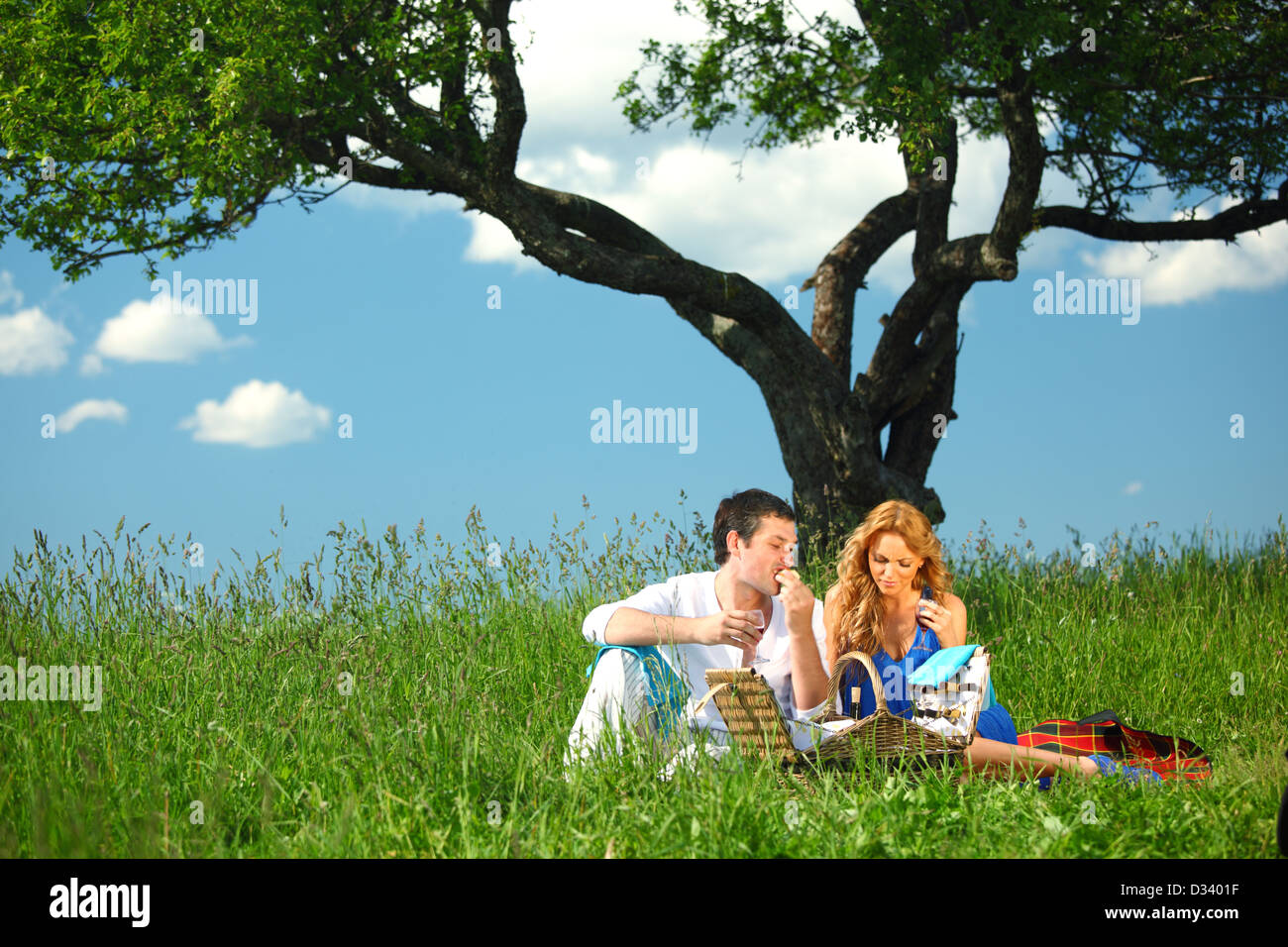 very fun lovers on picnic Stock Photo - Alamy
