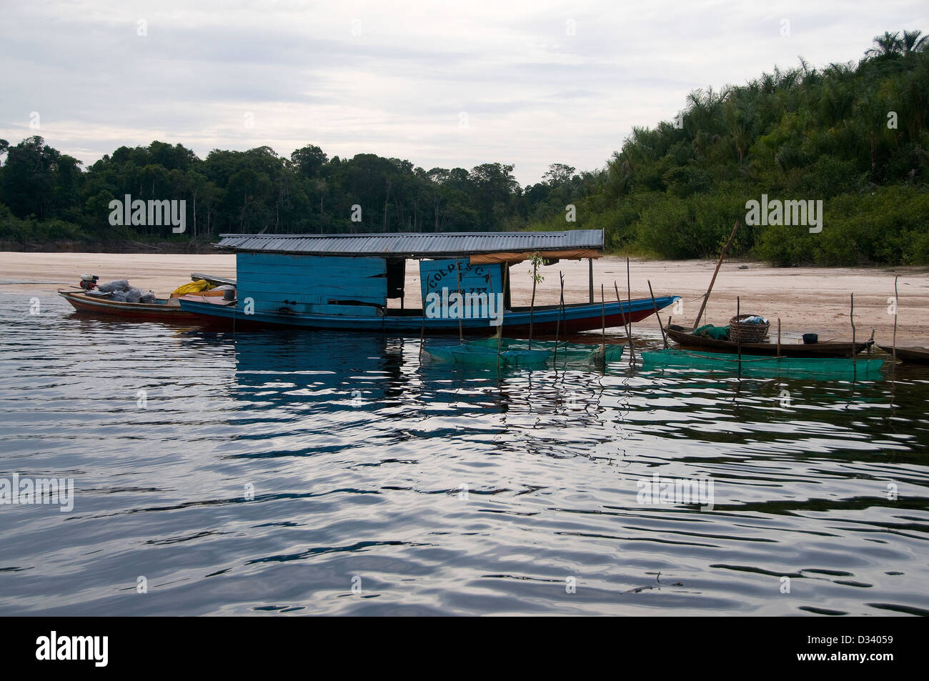 The river people near Barcelos catch tropical fish along Brazil's Rio ...