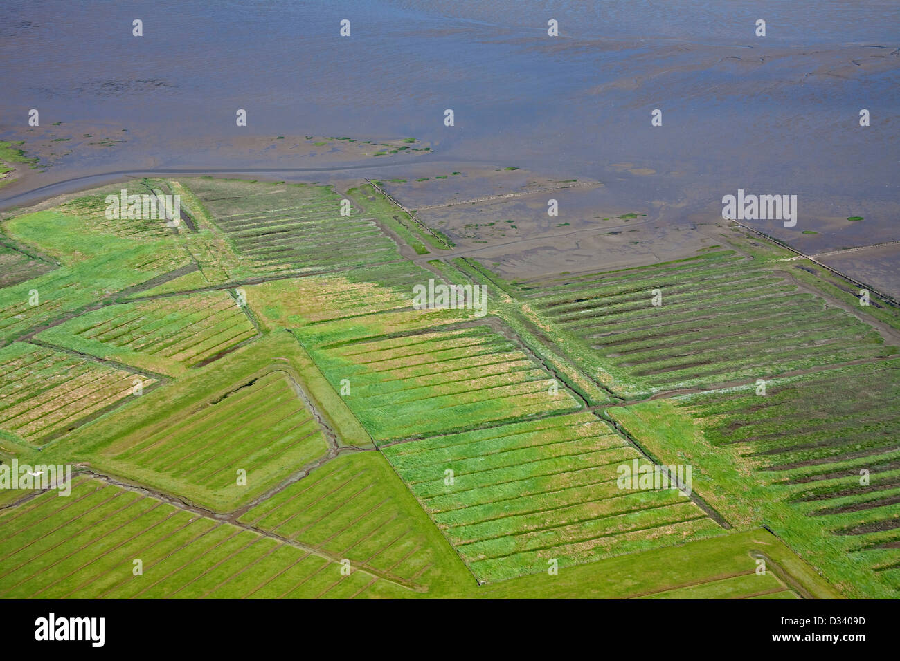 Aerial view of salt marsh hi-res stock photography and images - Alamy