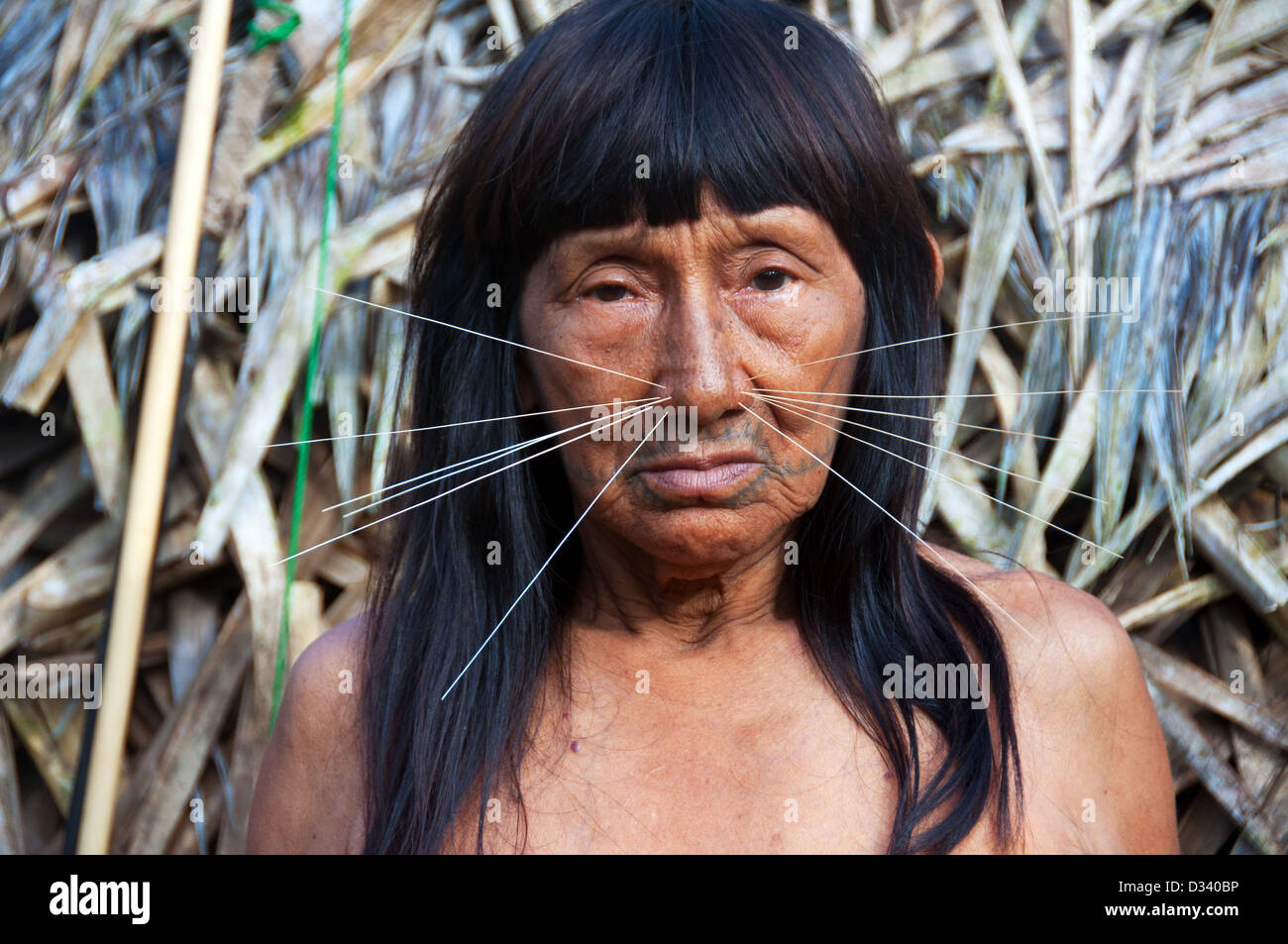 A Matses Mayorunas elderly woman with traditional whiskers and tattoos ...