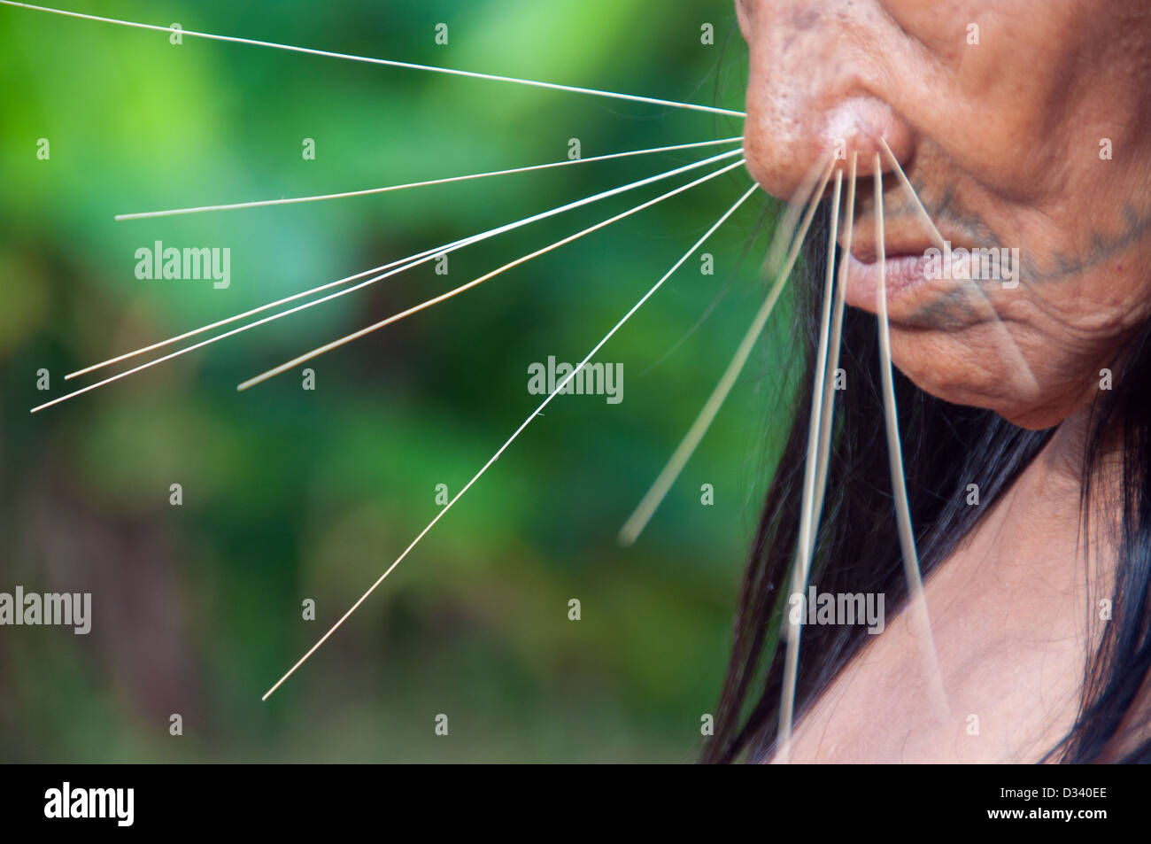 A Matses Mayorunas elderly woman with traditional whiskers and tattoos ...
