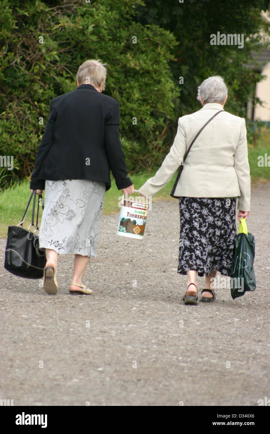 Two Ladies helping each other carrying a can of fence paint near ...