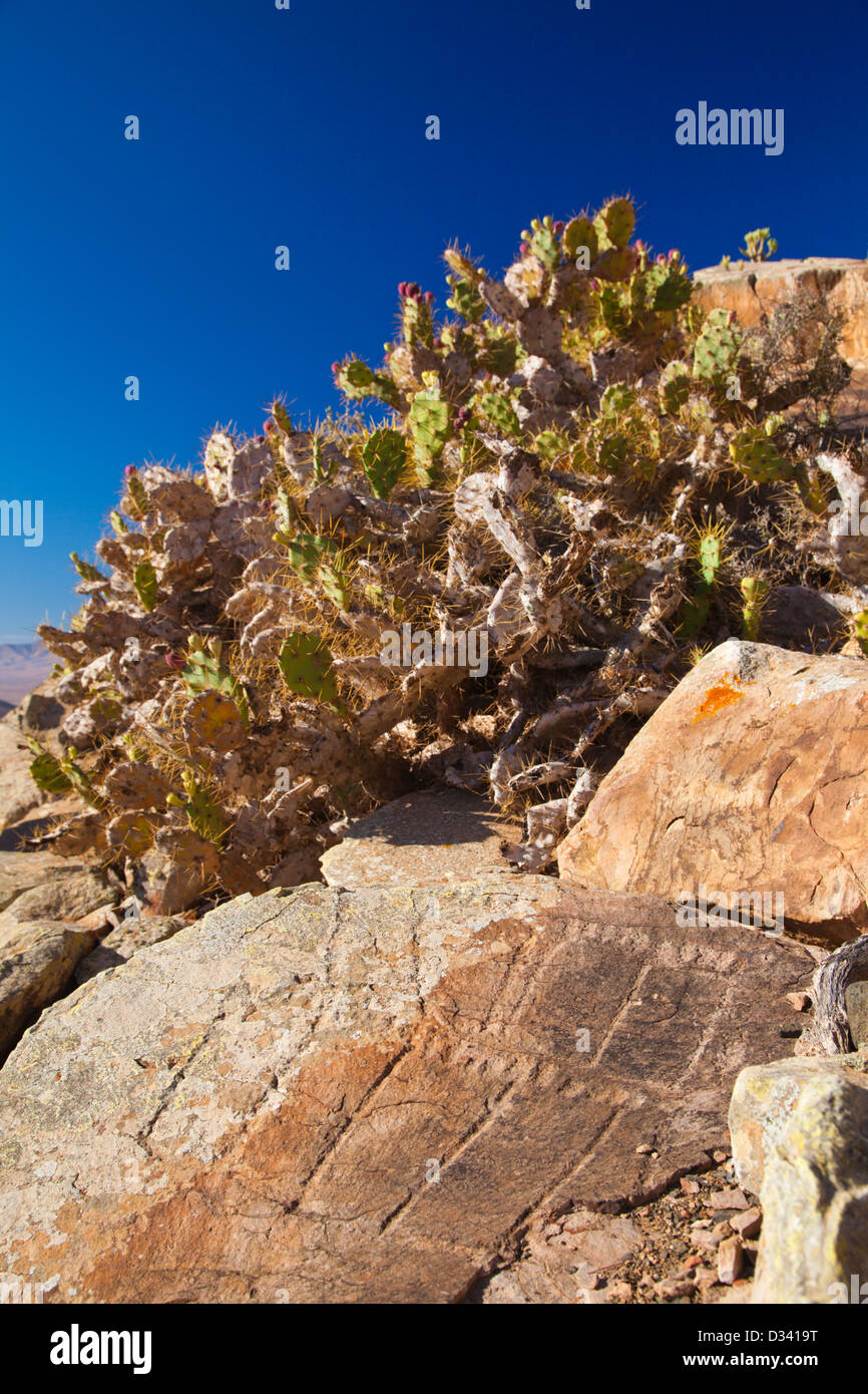 podomorphs on Tindaya Stock Photo - Alamy