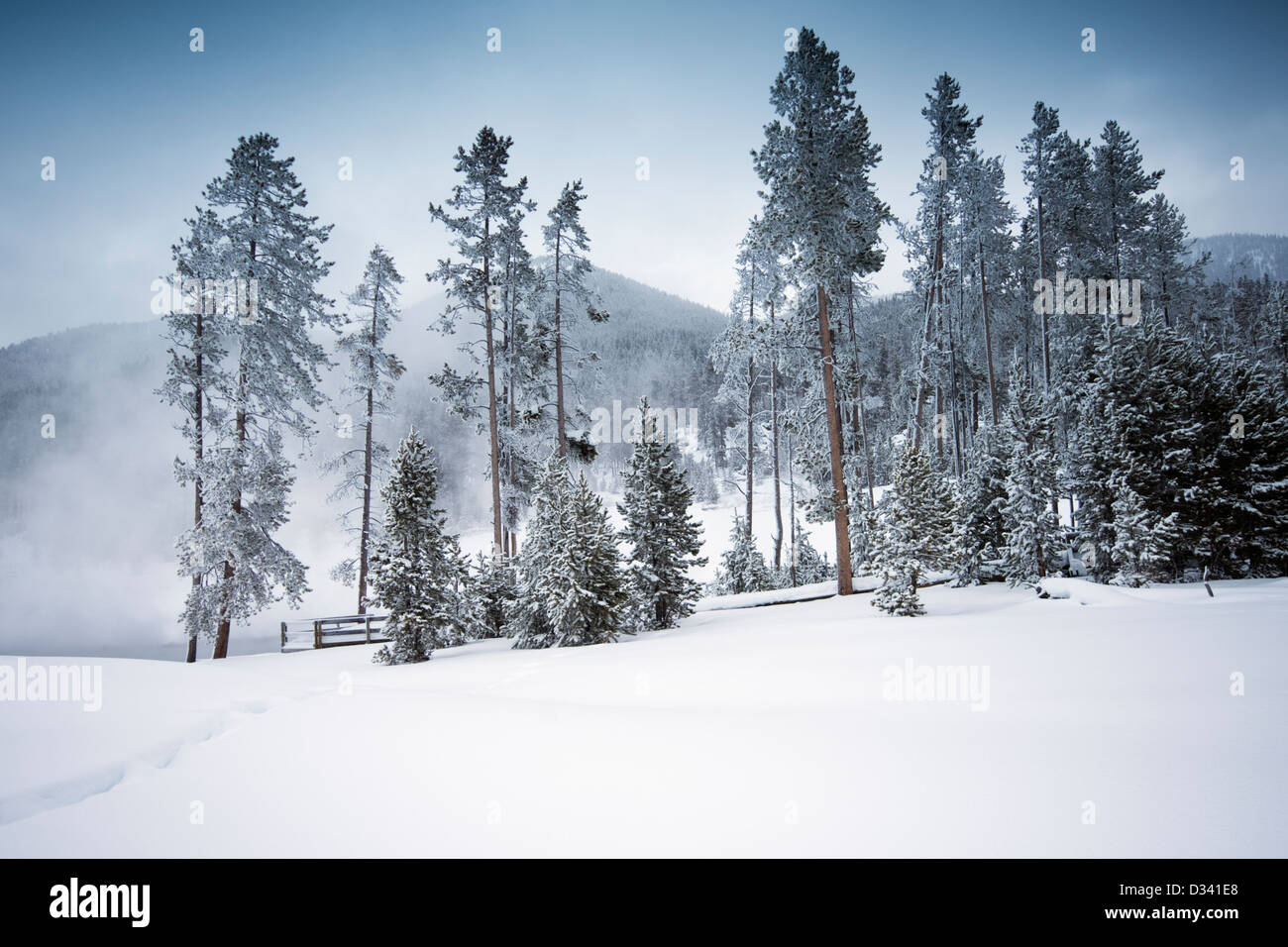 Yellowstone wilderness scene hi-res stock photography and images - Alamy