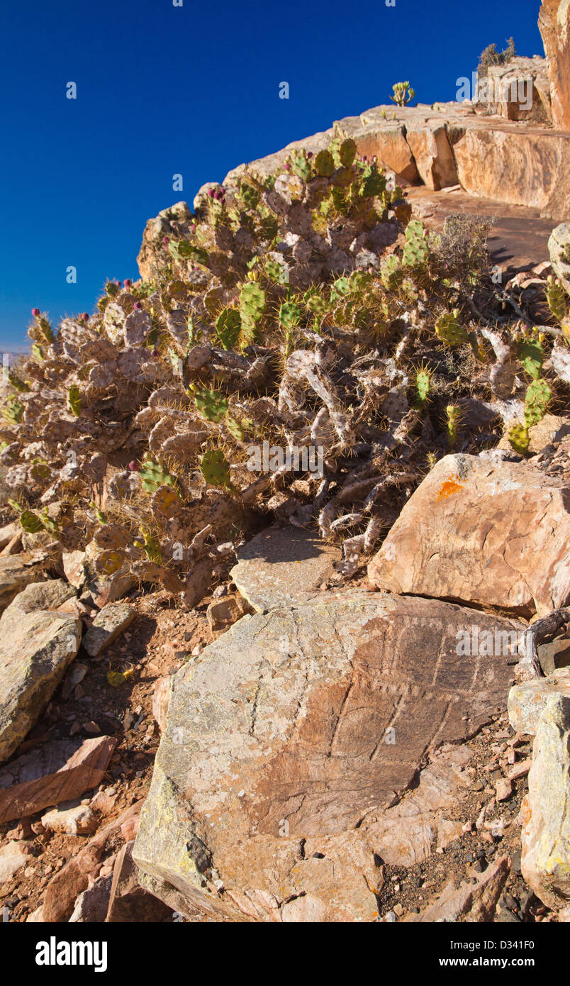podomorphs on Tindaya Stock Photo - Alamy