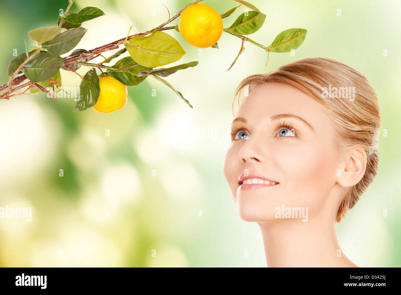 Lemon twig hi-res stock photography and images - Alamy
