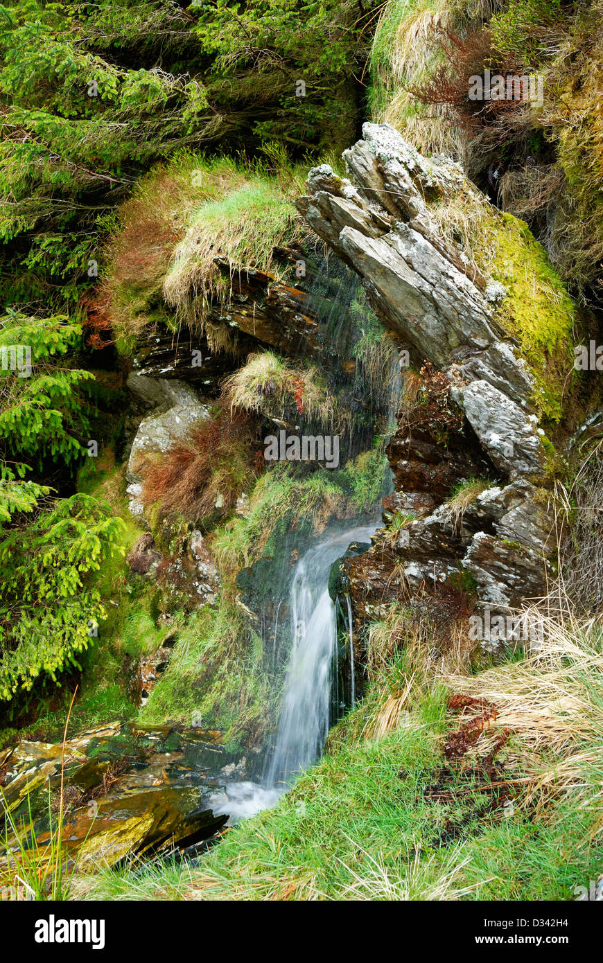 Waterfall cascading down rocks and greenery in a forest Stock Photo - Alamy
