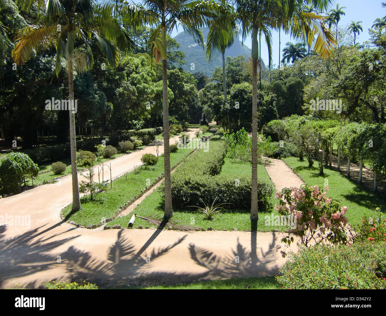 Botanical garden (Rio de Janeiro, Federative Republic of Brazil Stock ...