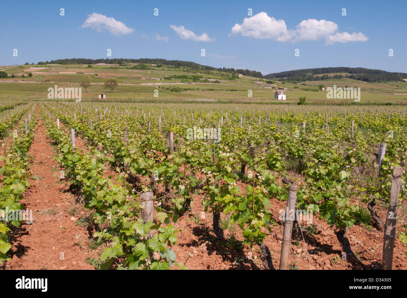 Beaune france vineyard hi-res stock photography and images - Alamy