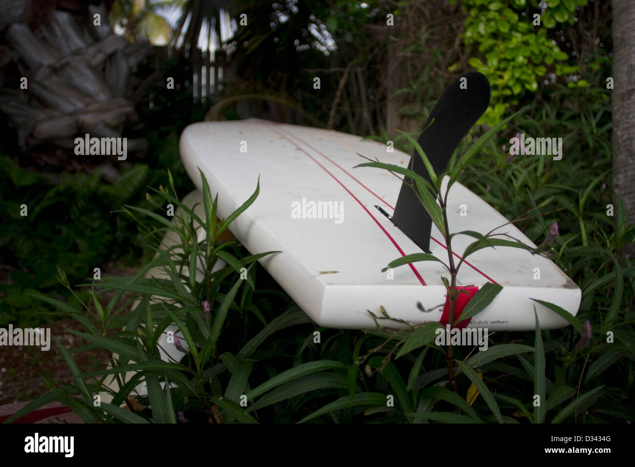 Surfboard in Key West Stock Photo - Alamy