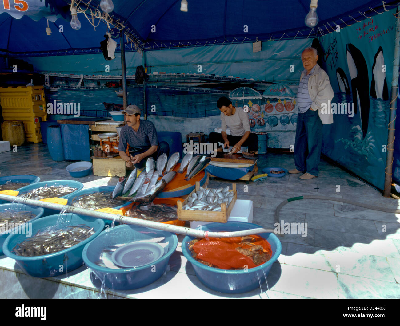 Istanbul Turkey Fishermen at Market Selling Fish Stock Photo - Alamy