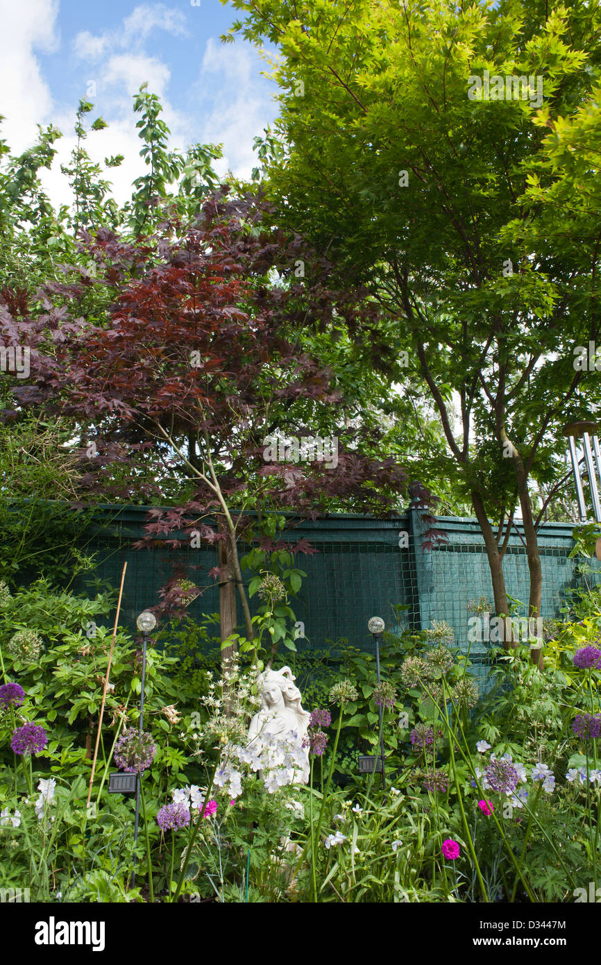 Borders of perennials and trees; Allium, Geranium, Acer Palmatum ...