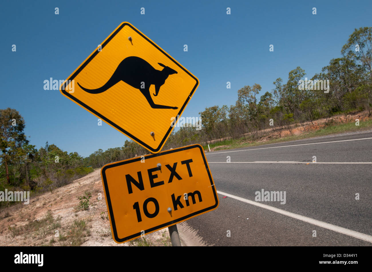 Kangaroo wildlife warning road hi-res stock photography and images - Alamy