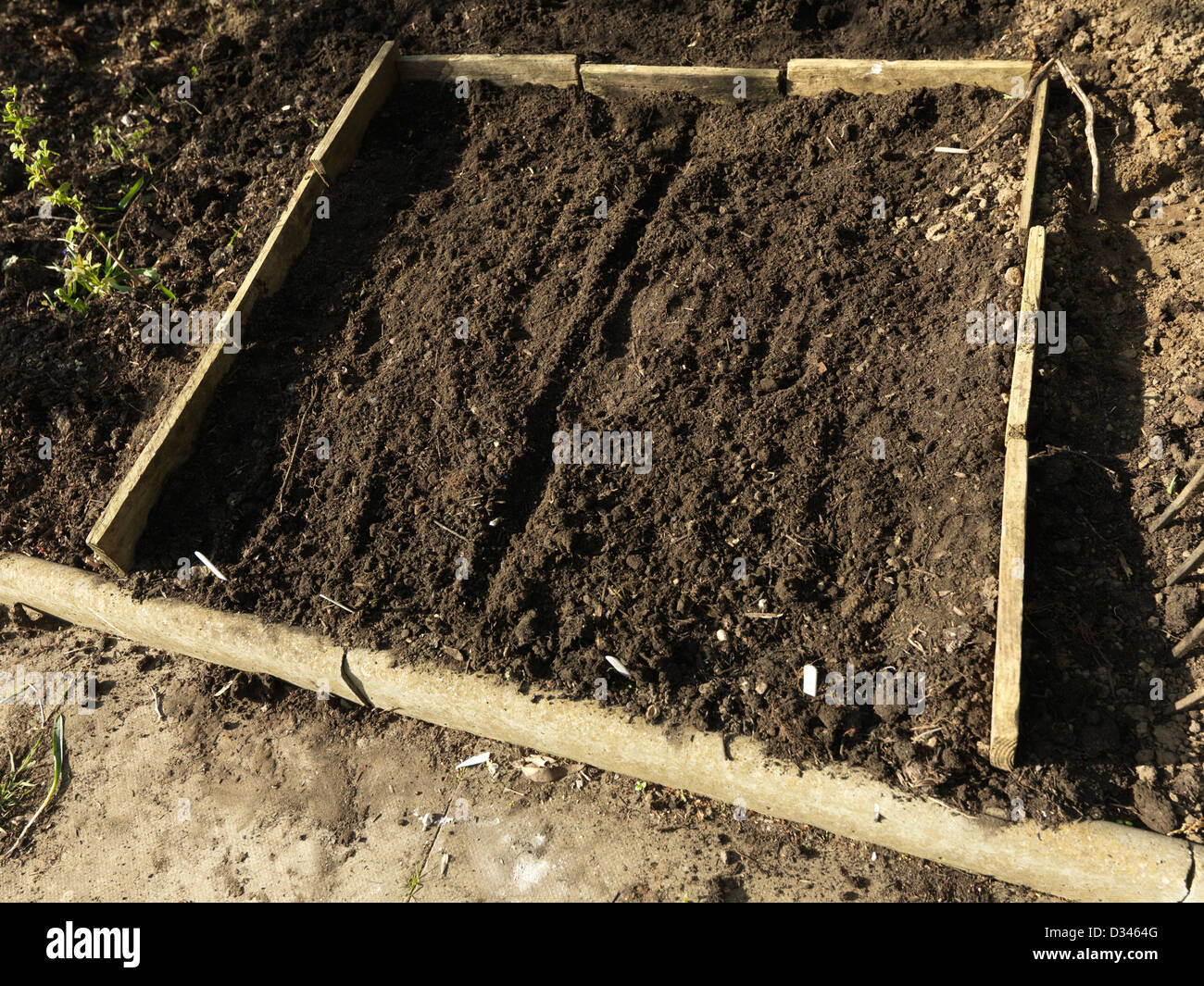 preparing seed bed in garden Surrey England Stock Photo - Alamy