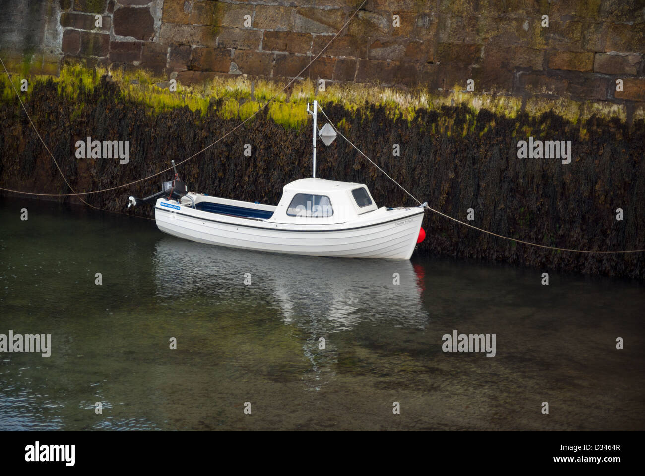 White Orkney Longliner fishing boat moored at low tide in the harbour ...