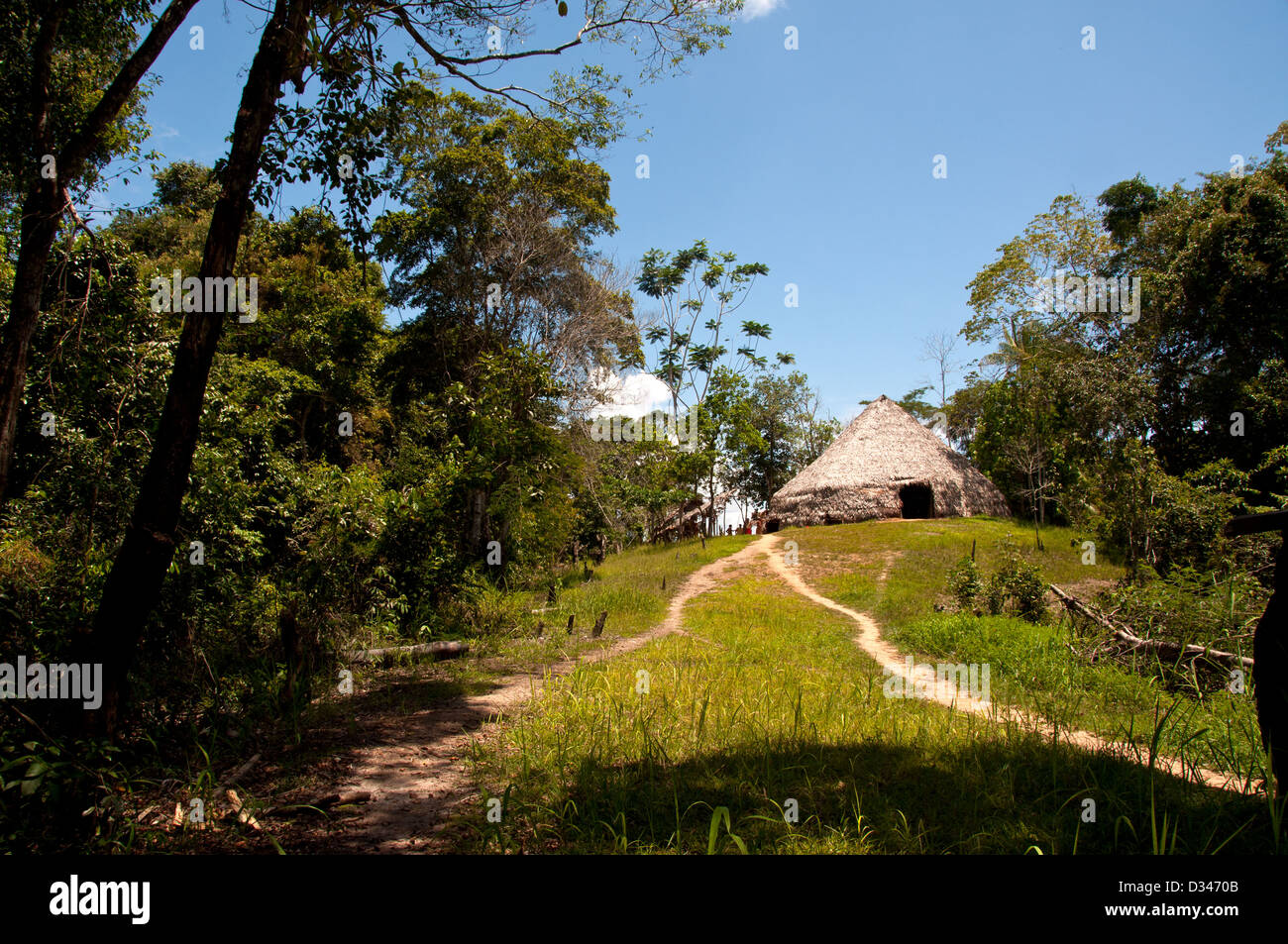 A Yagua maloca, traditional house with thatched roof, surroundings of ...