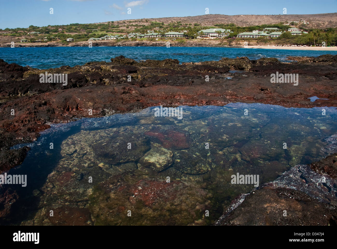 Lanai Manele Bay Resort High Resolution Stock Photography and Images ...
