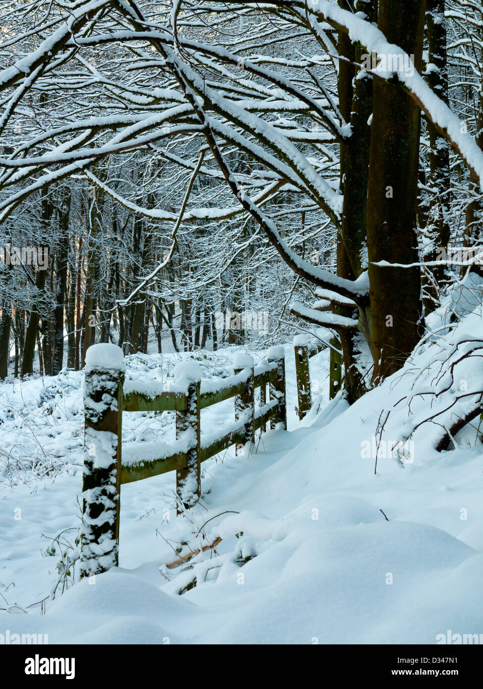 Winter landscape with snow fence and trees on the High Peak trail near ...