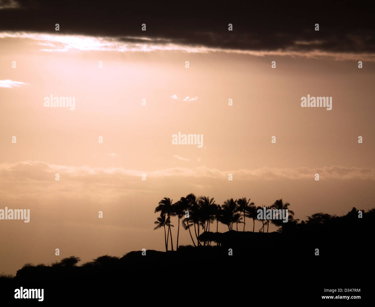 Manele bay, lanai, hawaii hi-res stock photography and images - Alamy