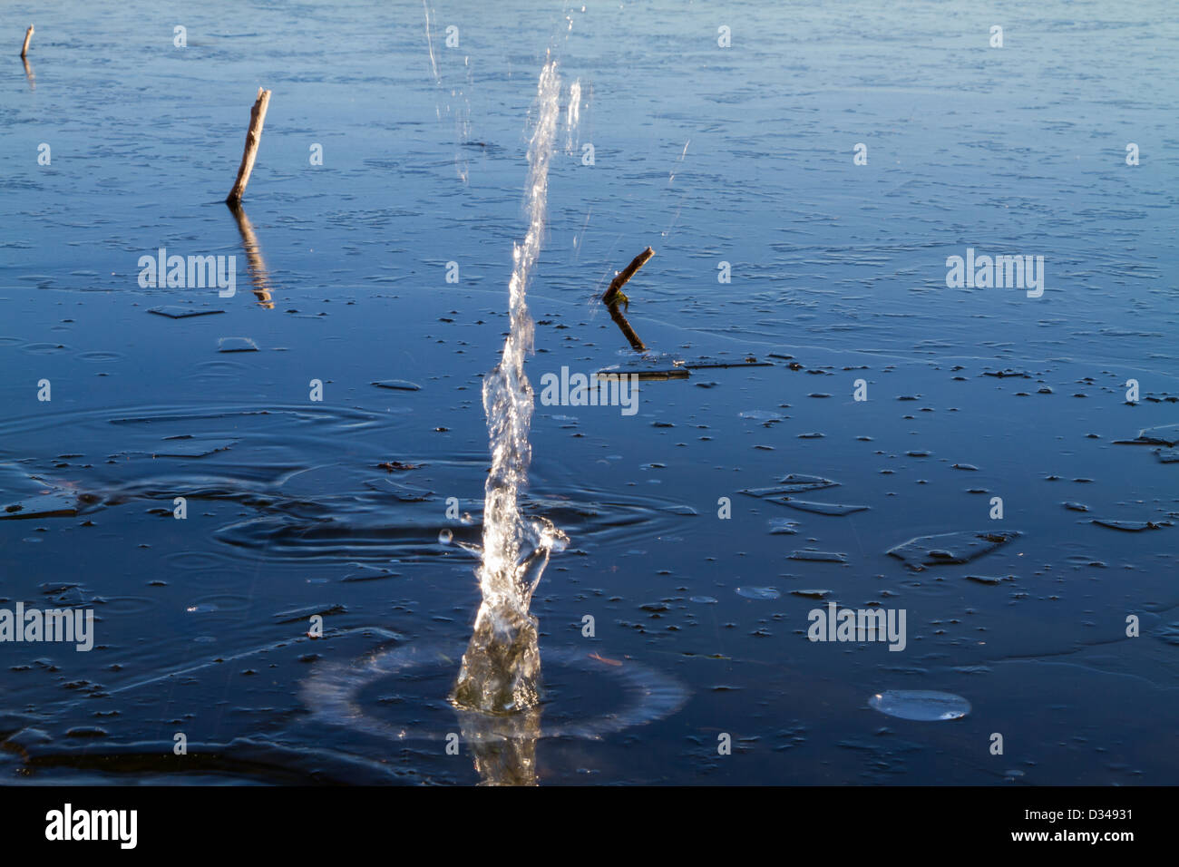 Shooting through the glass hi-res stock photography and images - Alamy