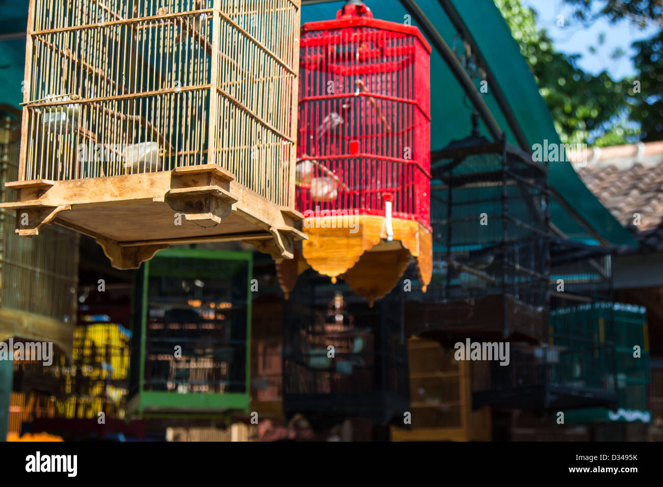 Jogjakarta Bird Market Stock Photo - Alamy