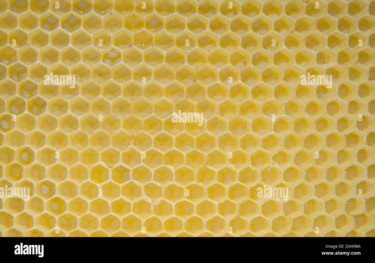 Homeycomb background picture (macro shot Stock Photo - Alamy
