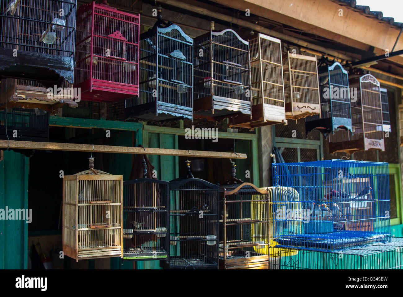 Jogjakarta Bird Market Stock Photo - Alamy