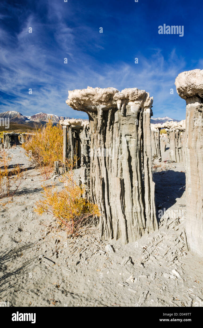 Sand tufa formations on the south shore of Mono Lake, Mono Basin ...