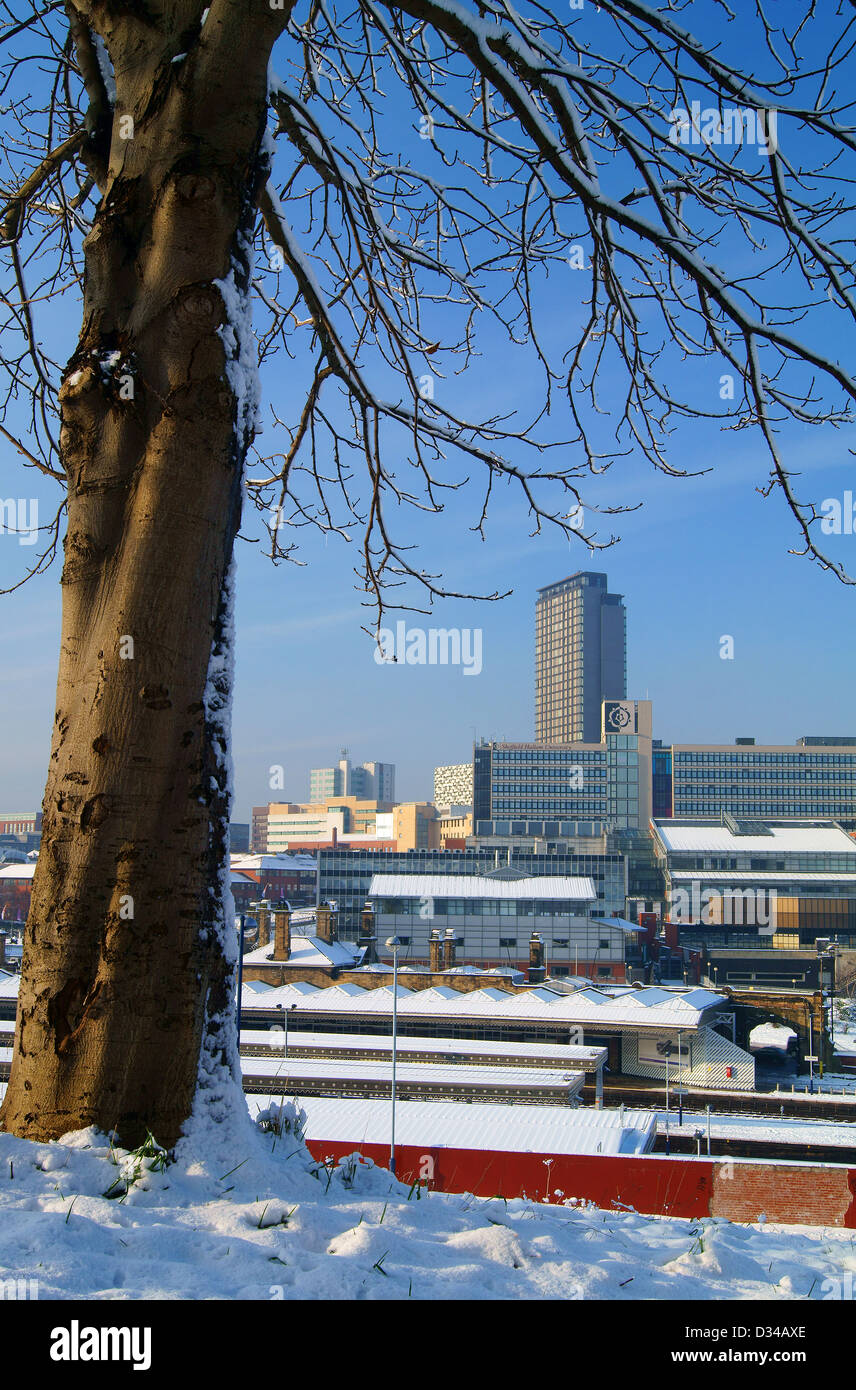 UK,South Yorkshire,Sheffield City Centre From Park Hill Stock Photo - Alamy