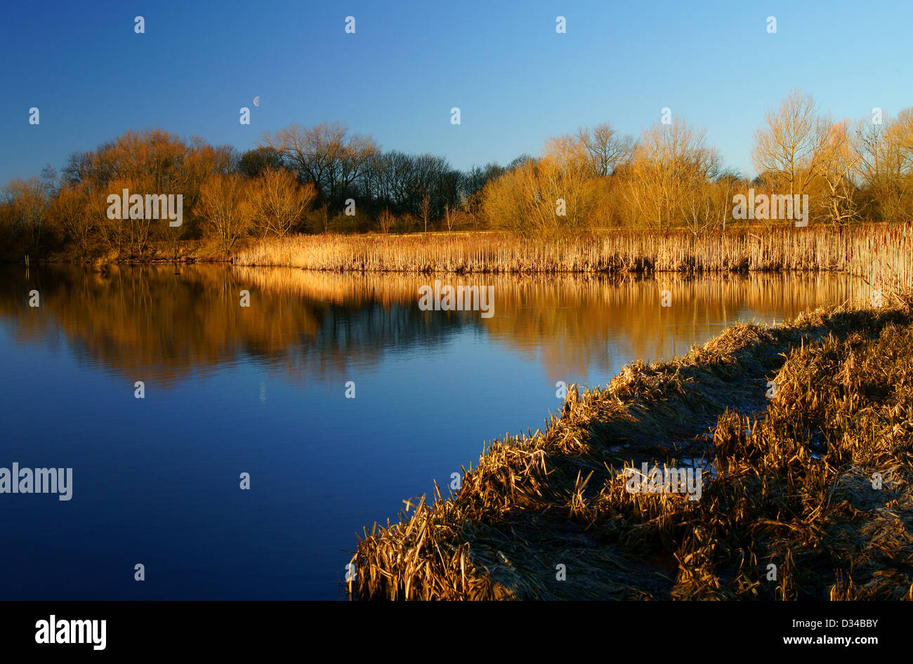 At denaby ings hi-res stock photography and images - Alamy