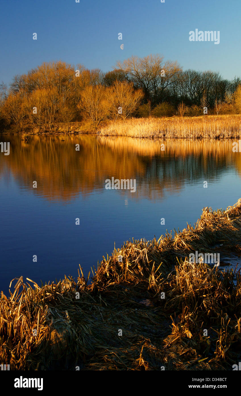 At denaby ings hi-res stock photography and images - Alamy