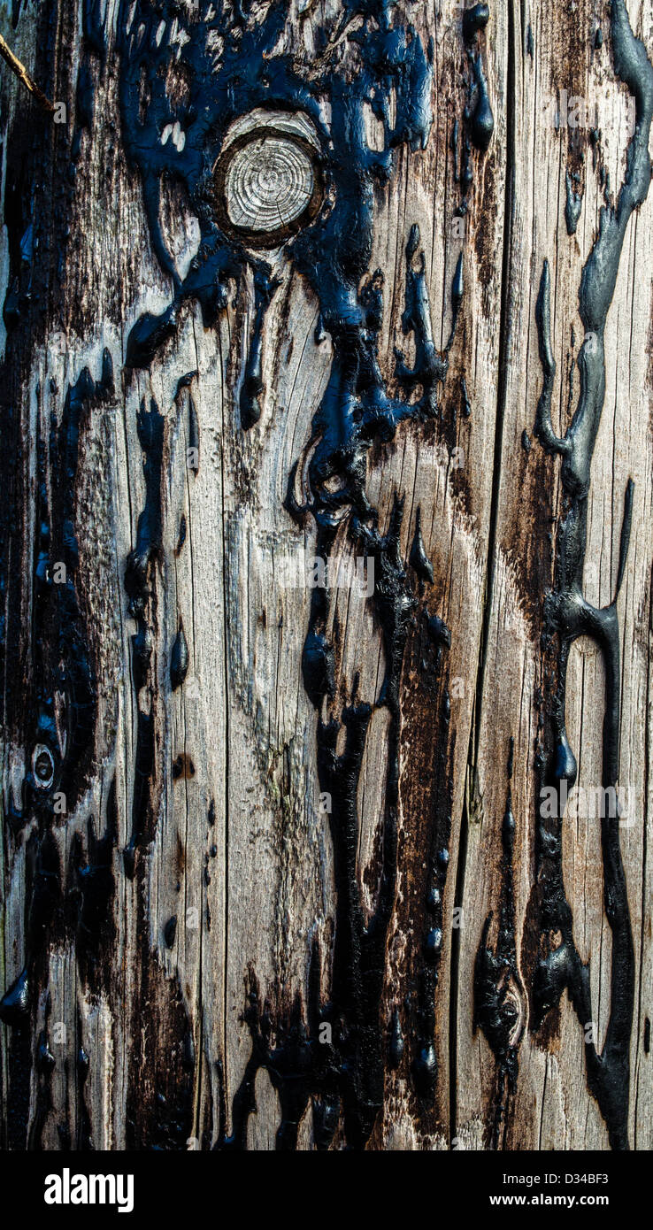 Wood and Tar Texture Stock Photo - Alamy