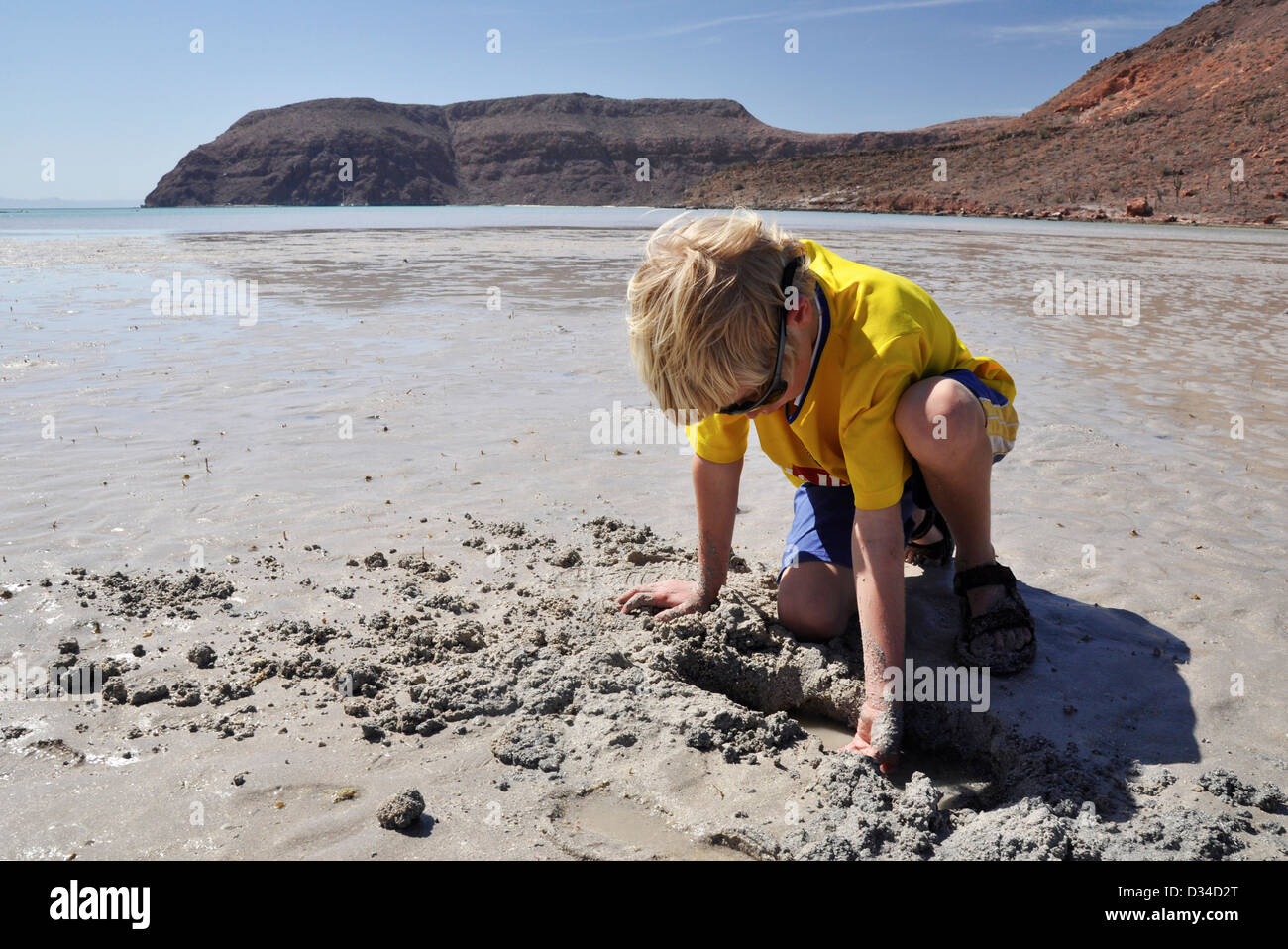 Boy digging for creatures at low tide, Isla Espiritu Santo, Sea of ...