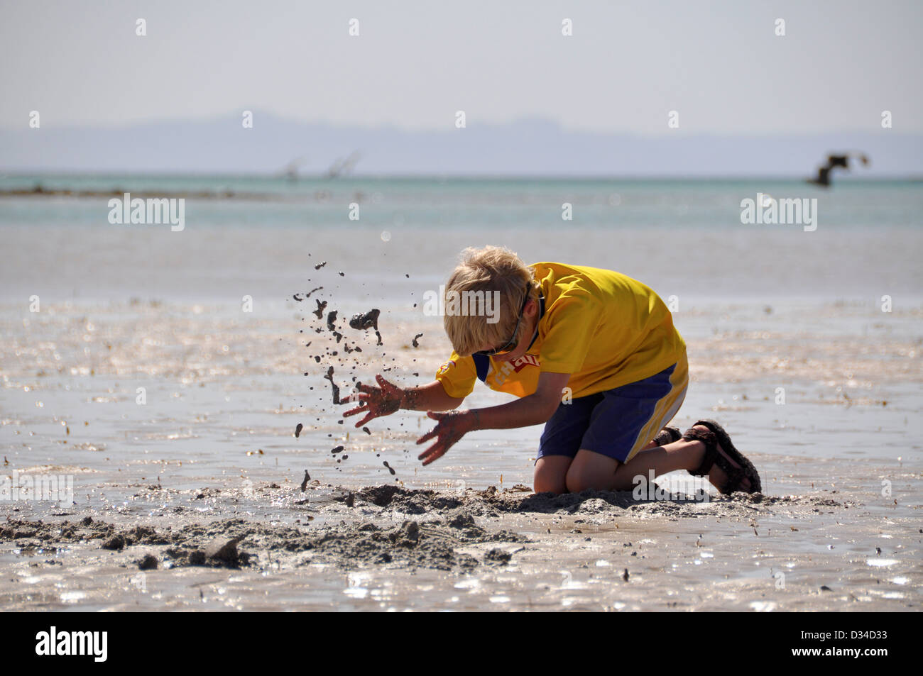 Boy digging for creatures at low tide, Isla Espiritu Santo, Sea of ...