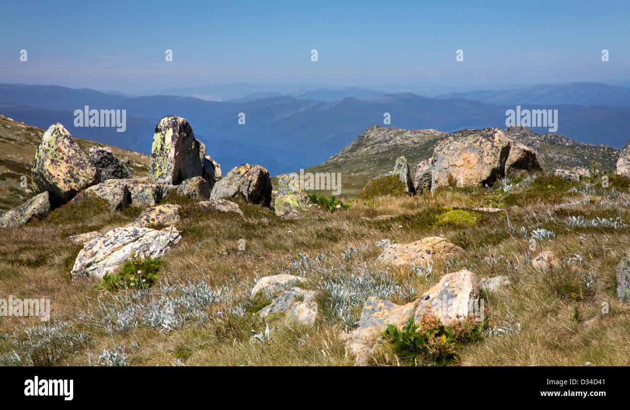 Foreground granite rocks hi-res stock photography and images - Alamy