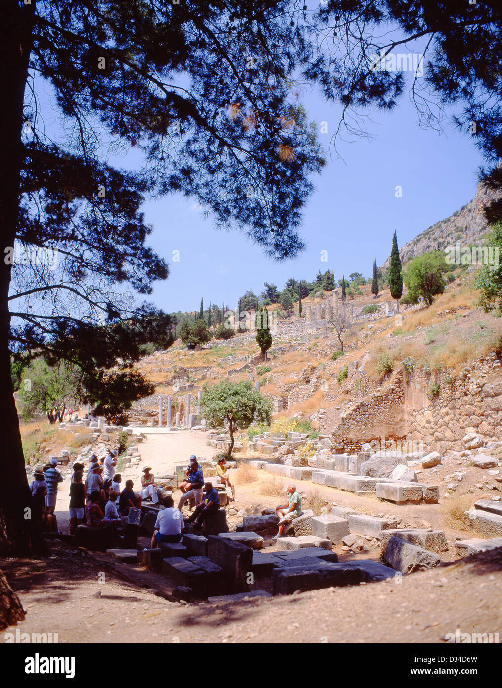 Parnassus apollo hi-res stock photography and images - Alamy