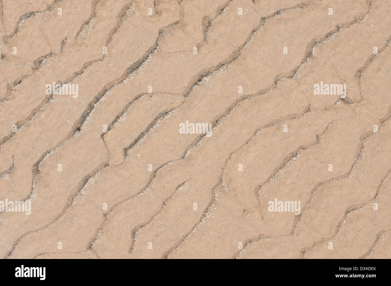Beach Pattern, Tropical North Queensland, Australia Stock Photo - Alamy