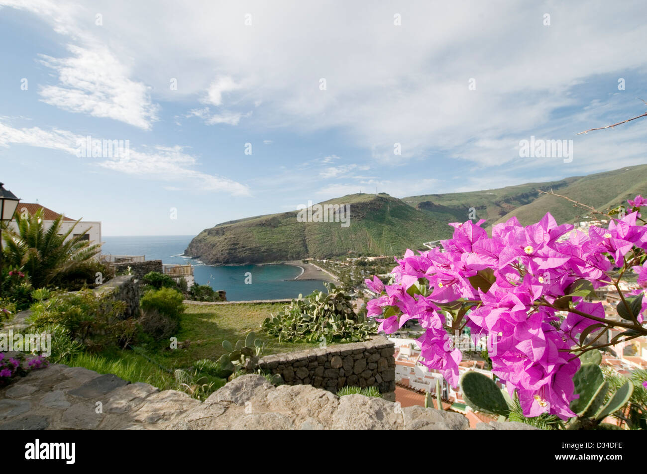 La Gomera Spanish Canary Island canaries islands pink flowers flower ...
