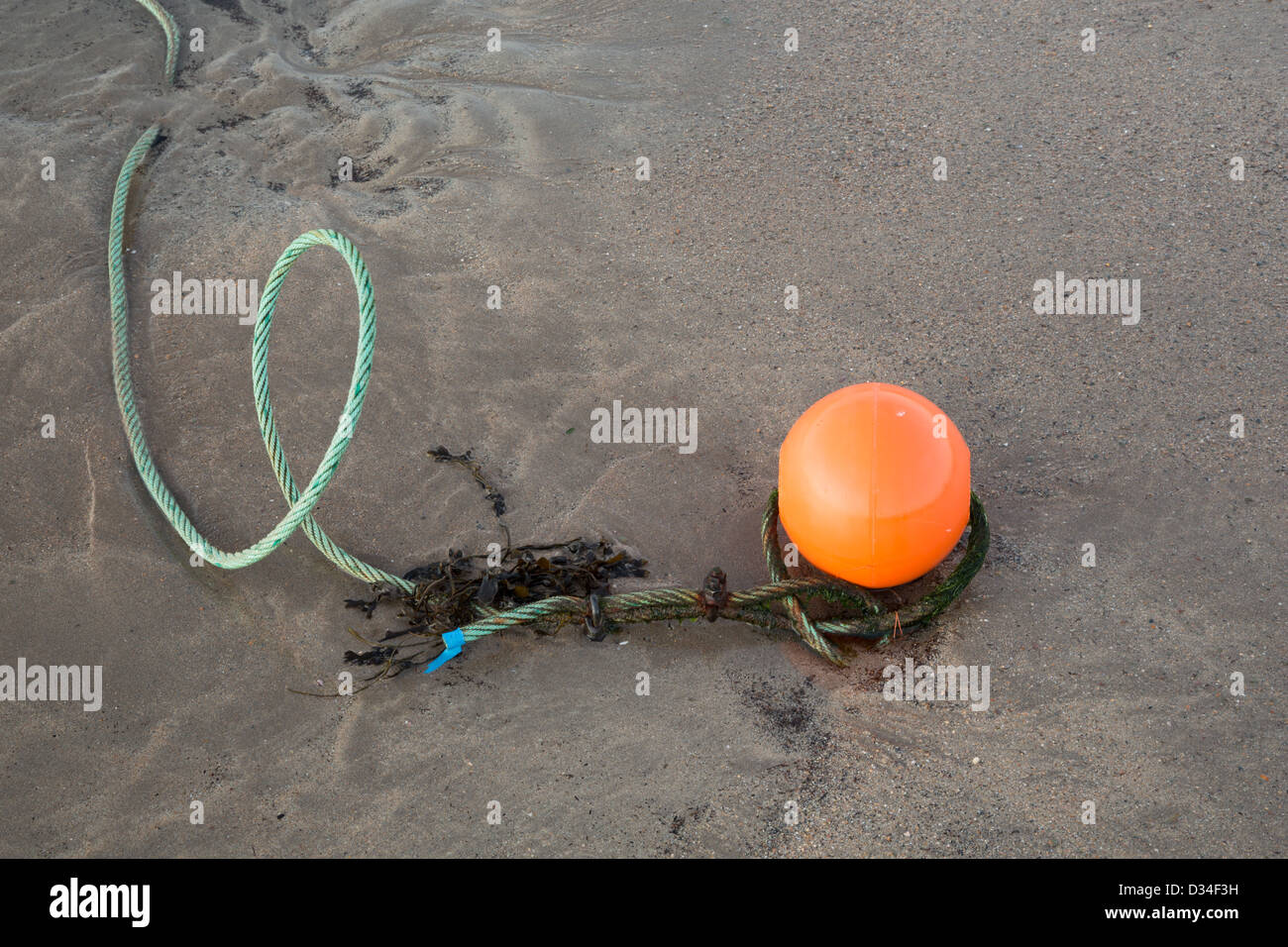Orange Buoy washed up on a sandy beach Stock Photo - Alamy